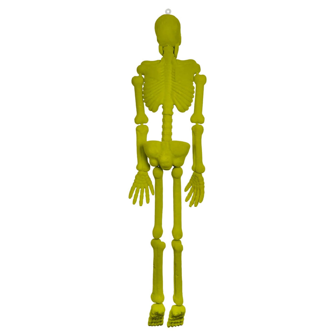 Green Flocked Skeleton by One Hundred 80 Degrees – Traditions