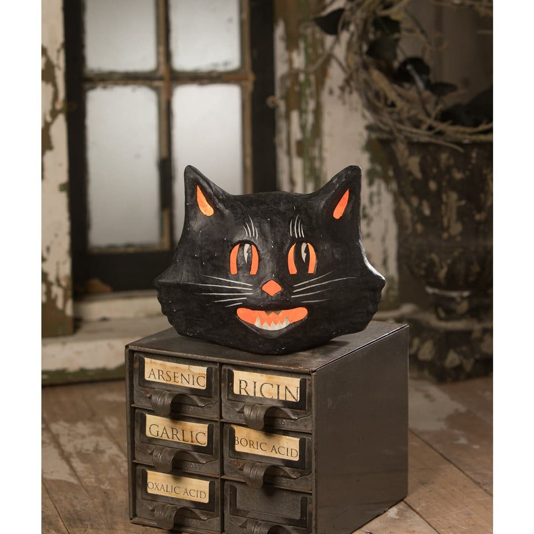Mr. Shady Cat Luminary by Bethany Lowe Designs – Traditions
